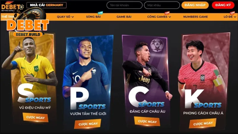 Chi Tiết Miễn Trách Nhiệm Debet Cung Cấp Trong Năm 2024